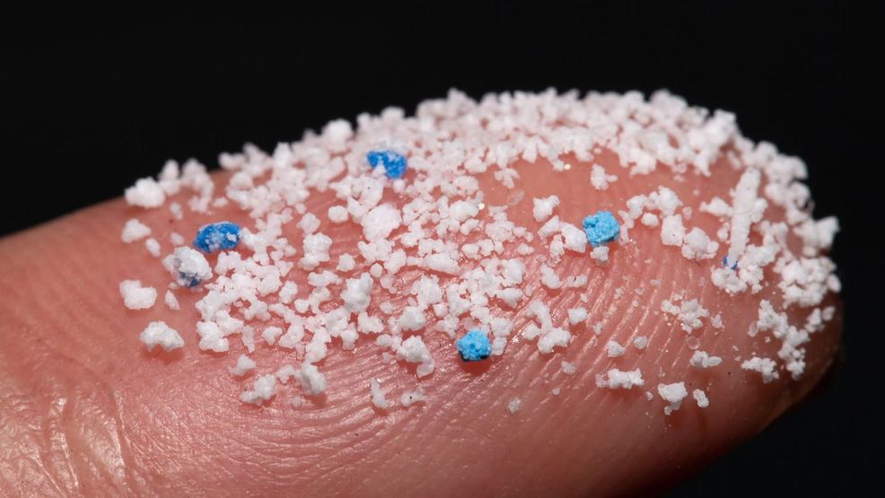 Average person eats up to five grams of plastic a week, equivalent to a ...