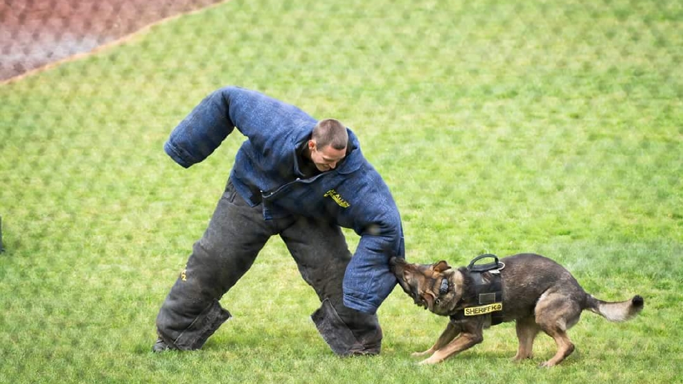 Police K9s Unleashed: 4th annual event takes place April 30 in Roseburg ...