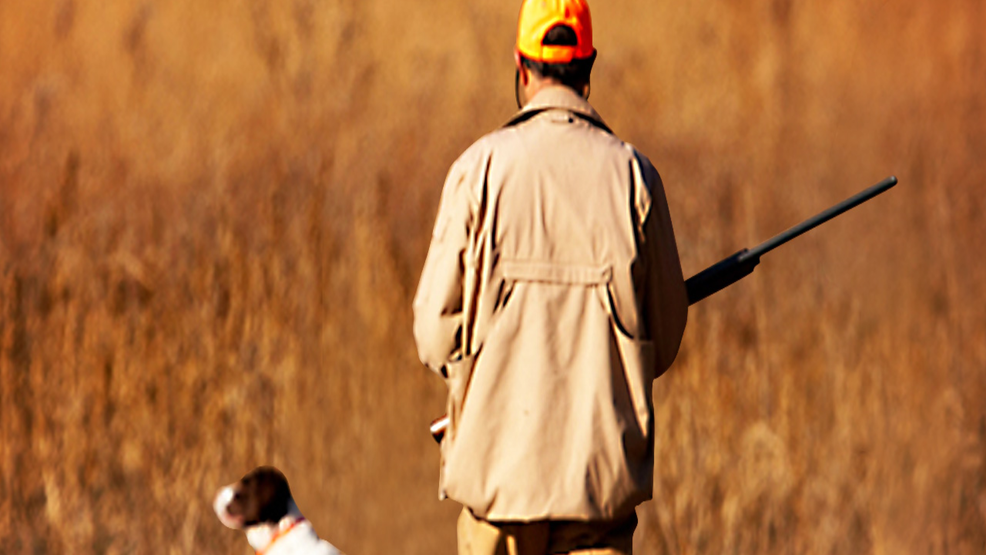New York has record low number of hunting accidents in 2019 | WSTM