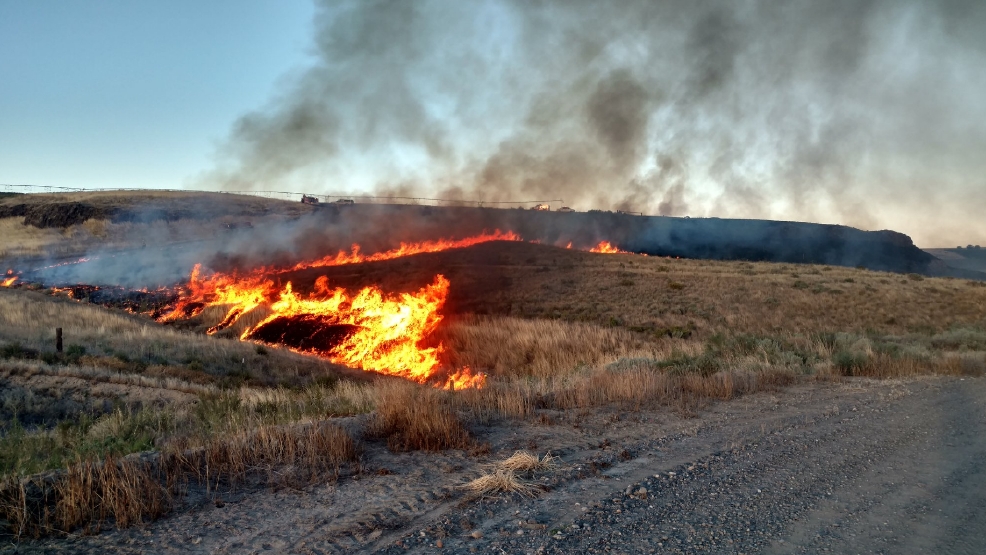 Wildland fire on Levey Ridge burns nearly 60 acres | KEPR