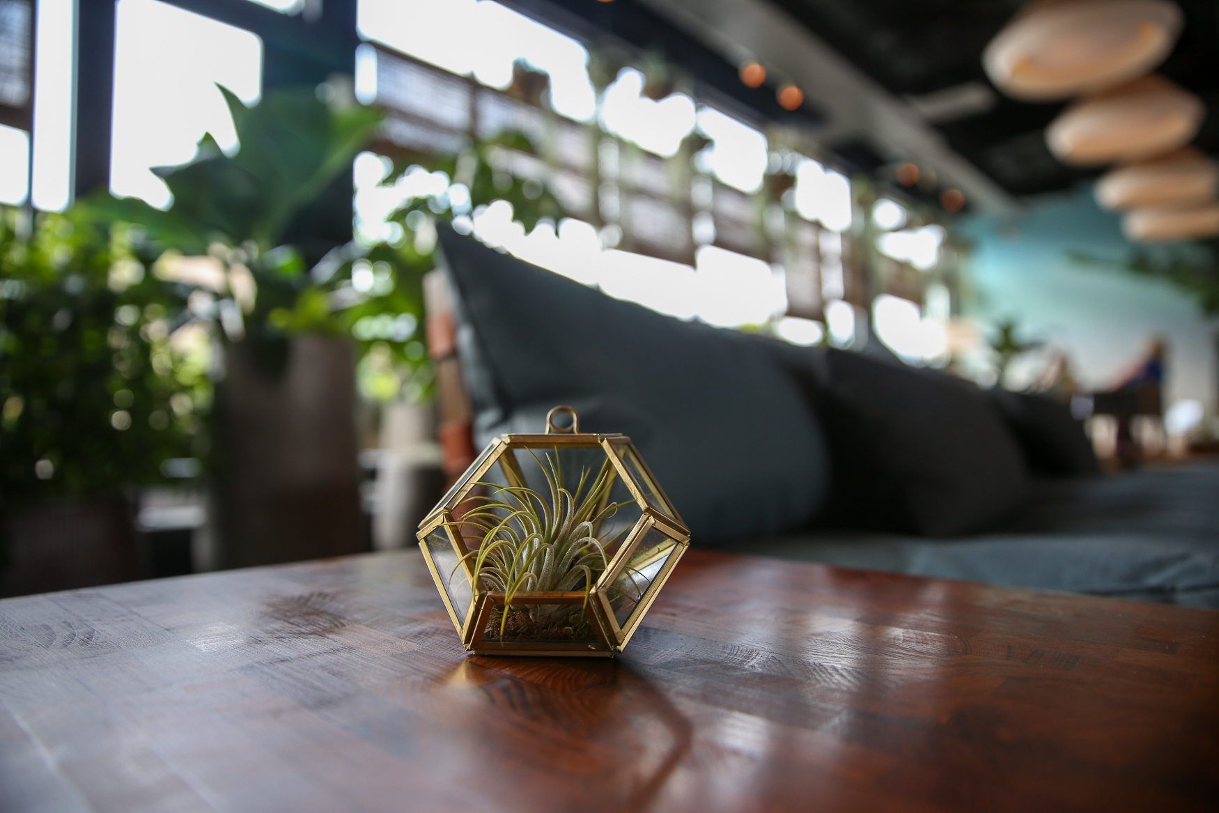 Peek inside Eaton, an 'activist hotel' | DC Refined